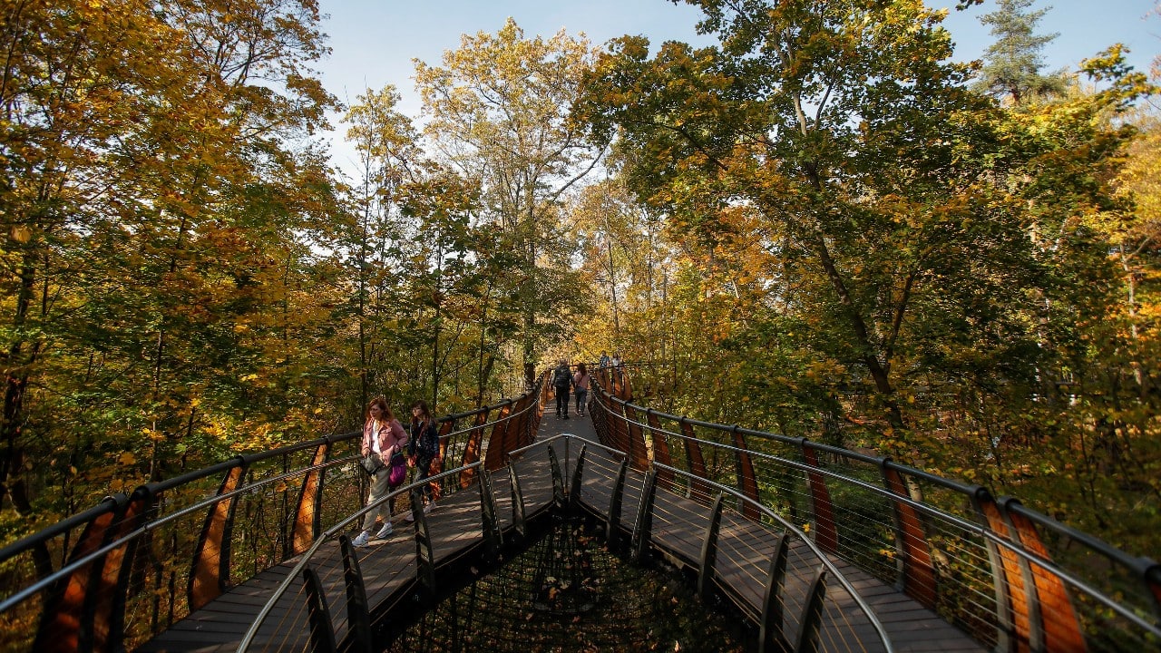 Autumn show: Spectacular fall colours from around the world ...