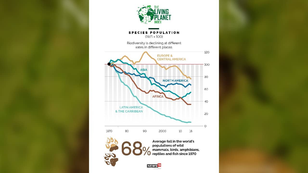 Living Planet Report 2020 | Here's how Earth’s biodiversity has ...
