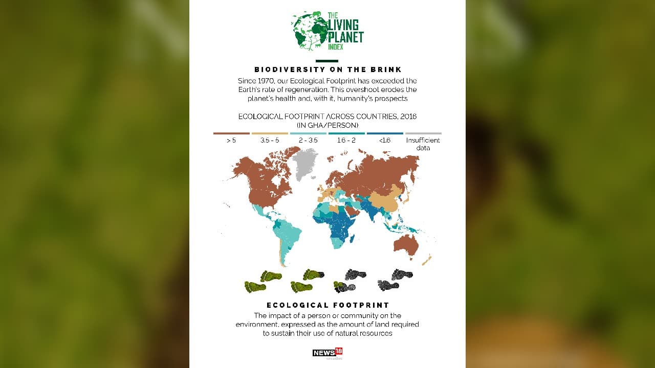 Living Planet Report 2020 | Here's how Earth’s biodiversity has ...