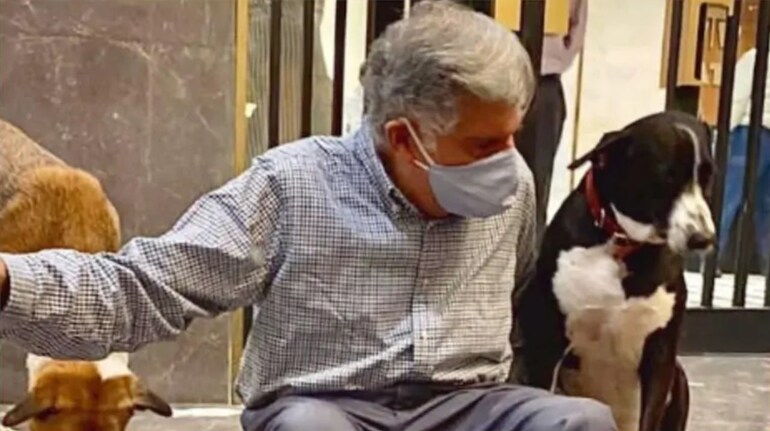 How Ratan Tata ensured his dog 'Goa' didn't scare a visitor