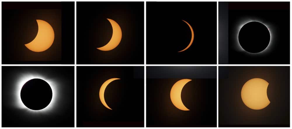 The last solar eclipse of 2020 mesmerises Chile, Argentina