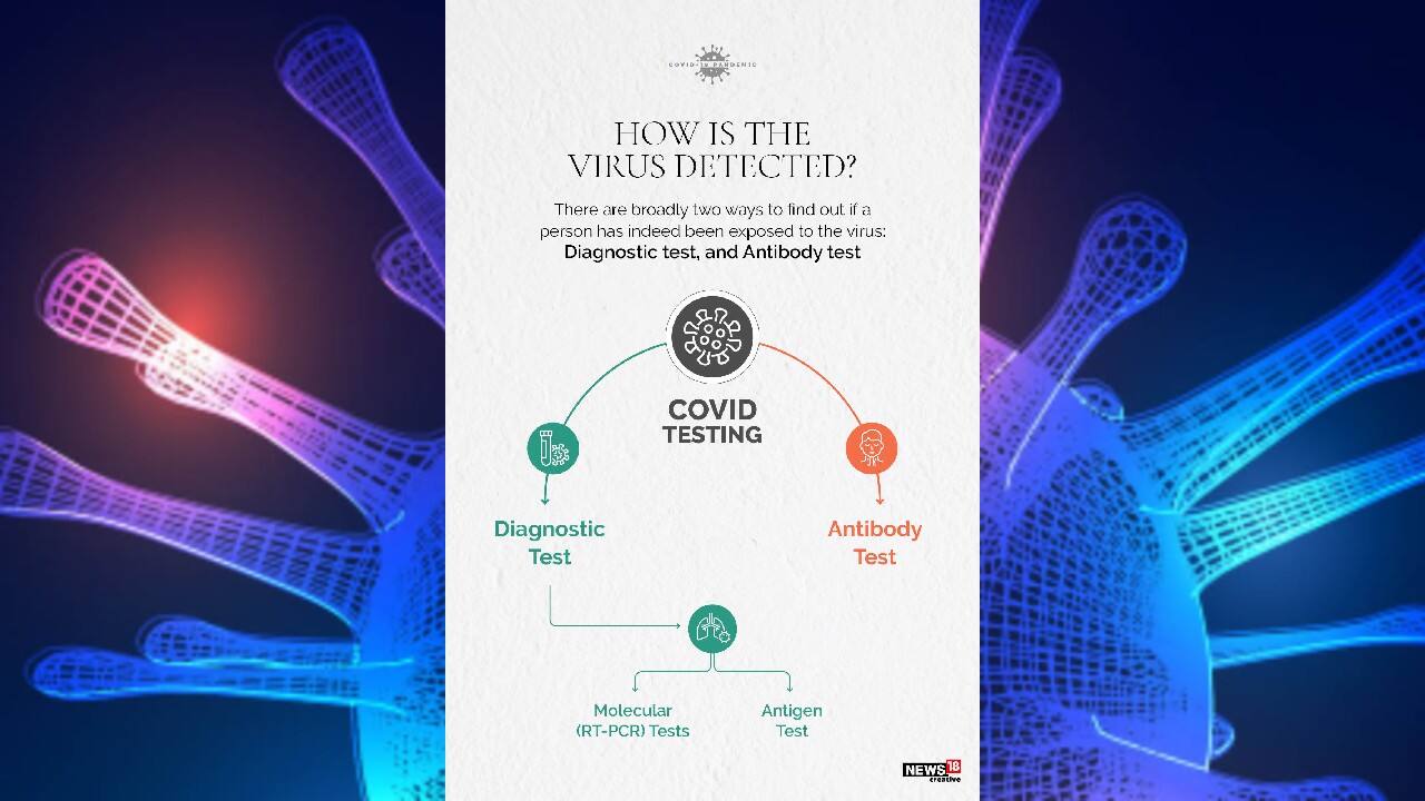 Coronavirus RT-PCR test | Everything you need to know