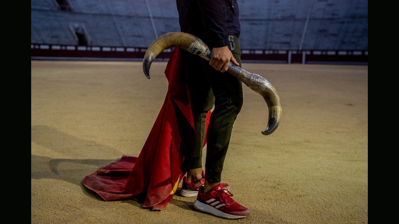 A look at how children in Spain learn the deadly art of bullfighting ...