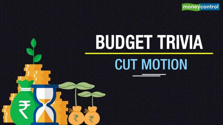Budget 2024: All you need to know about cut motion