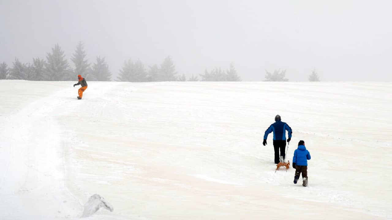 Surfboards, sledges and horse carriages—Europe makes the most of snow