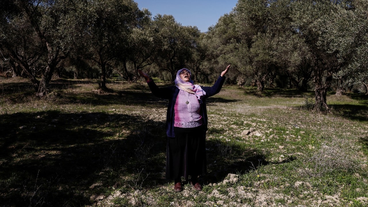 Turkish olive farmer battles to save her land from coal mine ...