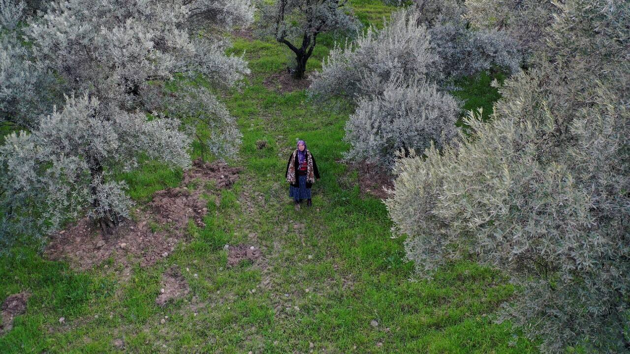 Turkish olive farmer battles to save her land from coal mine ...
