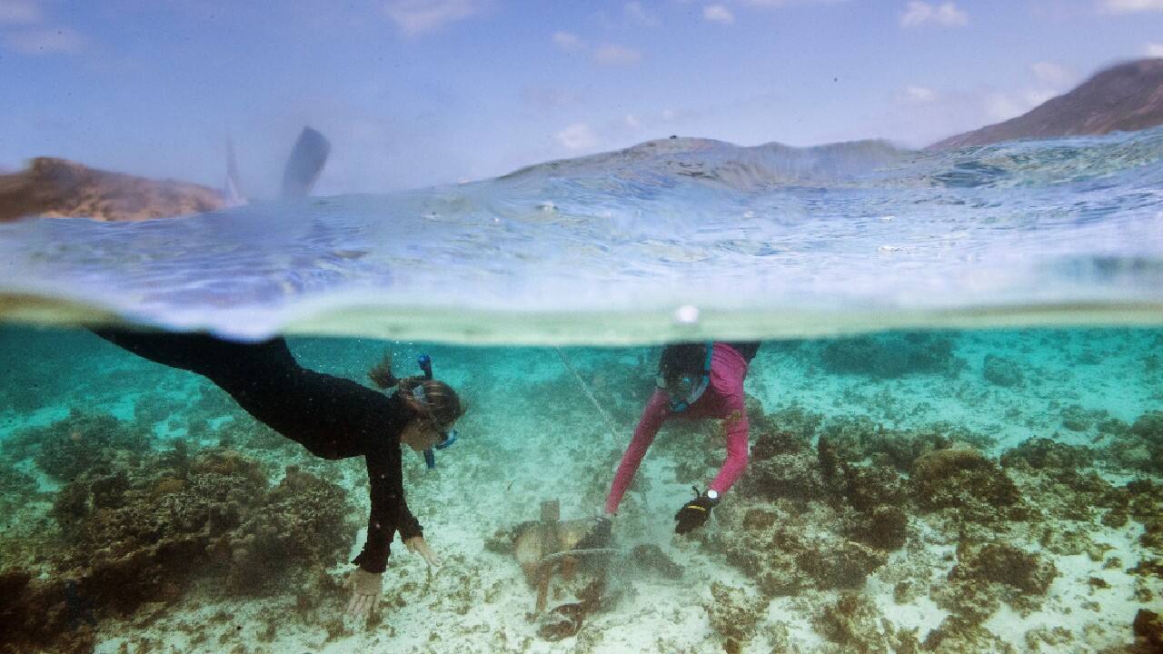Under the sea pictures with scientists fighting climate change