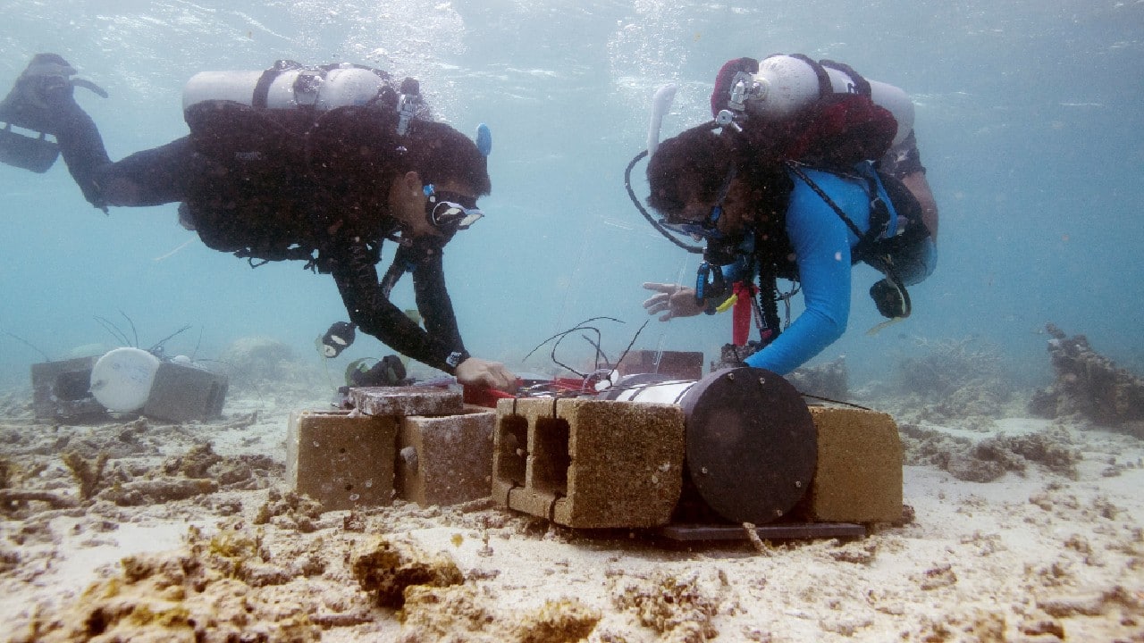 Under the sea pictures with scientists fighting climate change