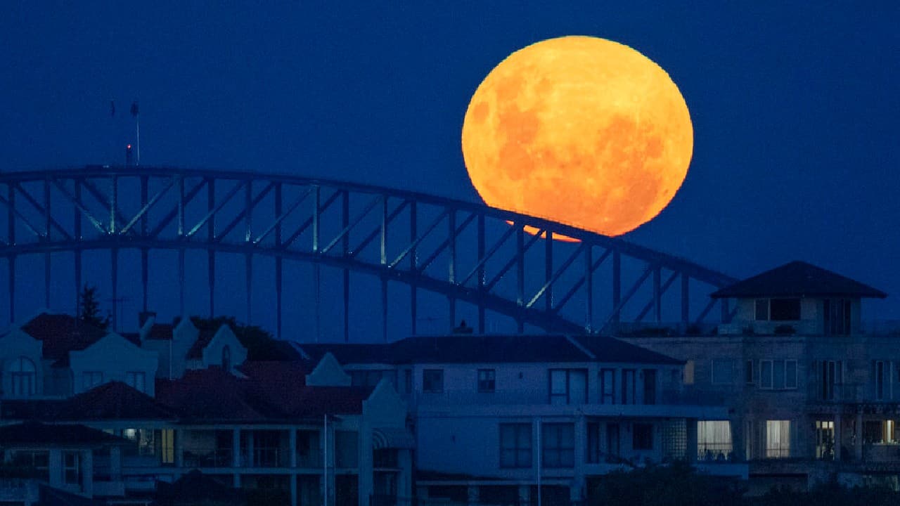 This week in pictures: The most stunning images from Asia