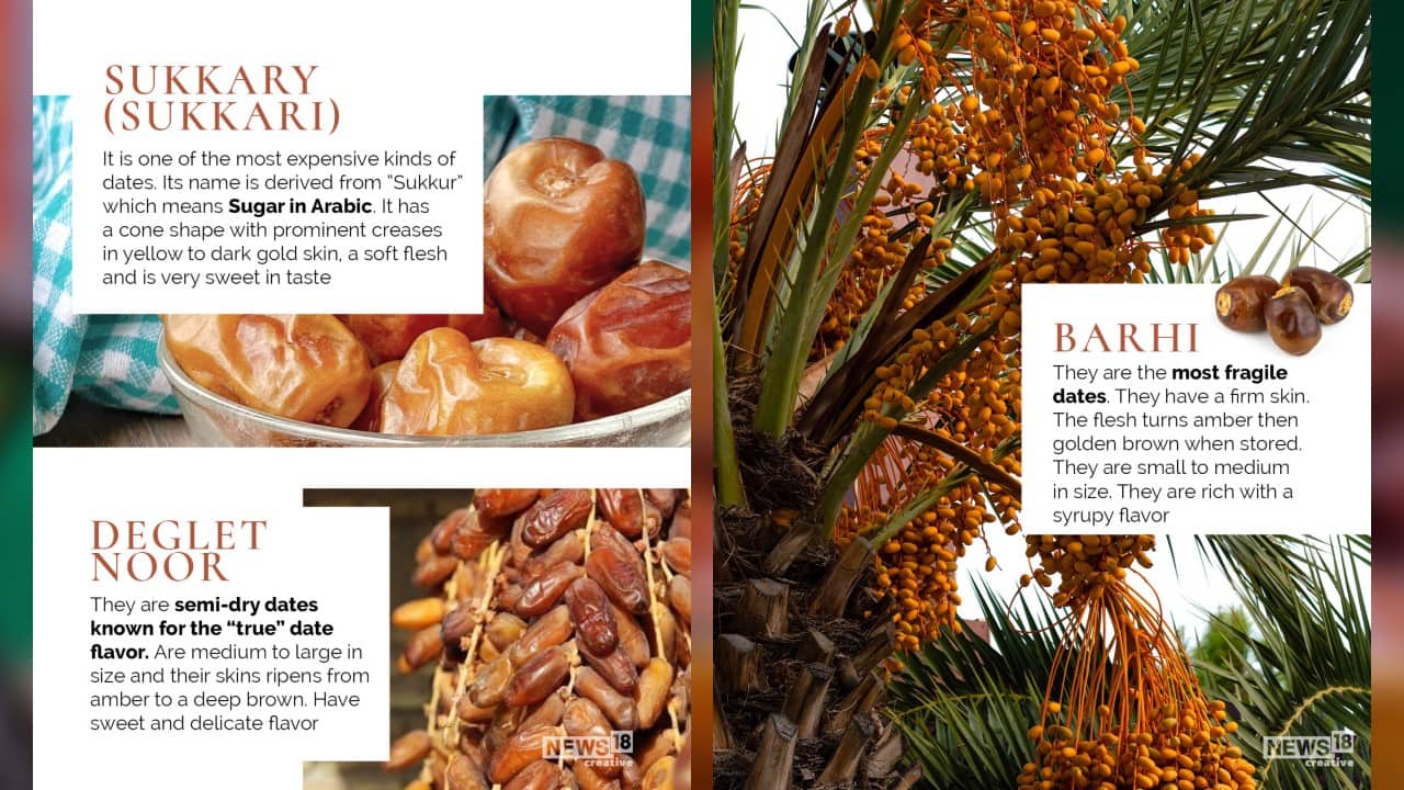 All you need to know about dates, the Ramadan superfood | Moneycontrol News