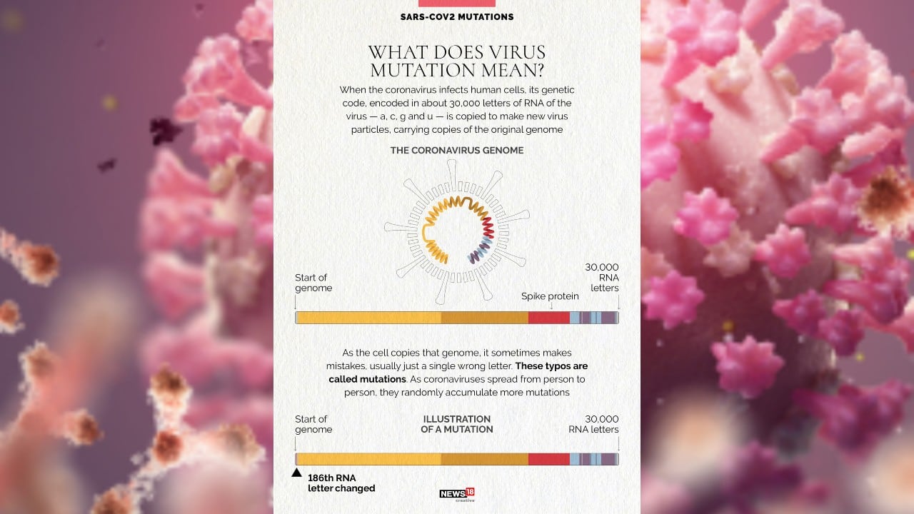 All you need to know about COVID-19 virus variants and their mutations