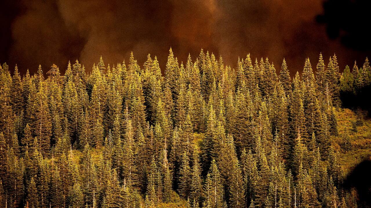 In Pics | Western wildfires calm down in cool weather, but losses grow ...