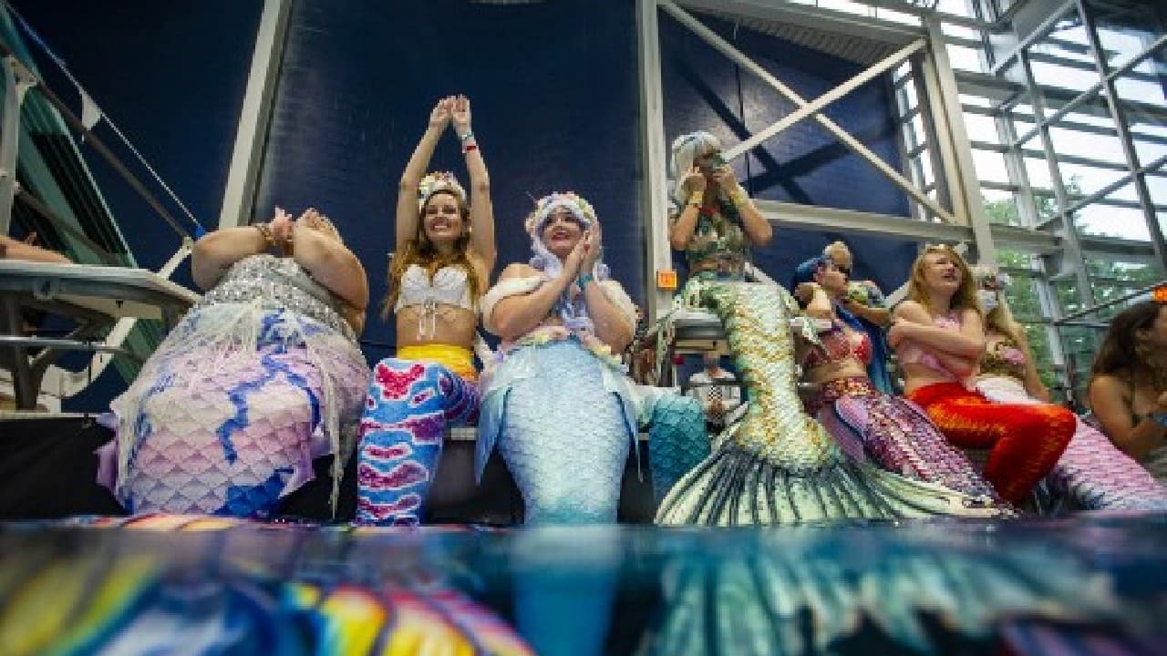 Part of our world: Mermaids mingle at US convention | Moneycontrol News