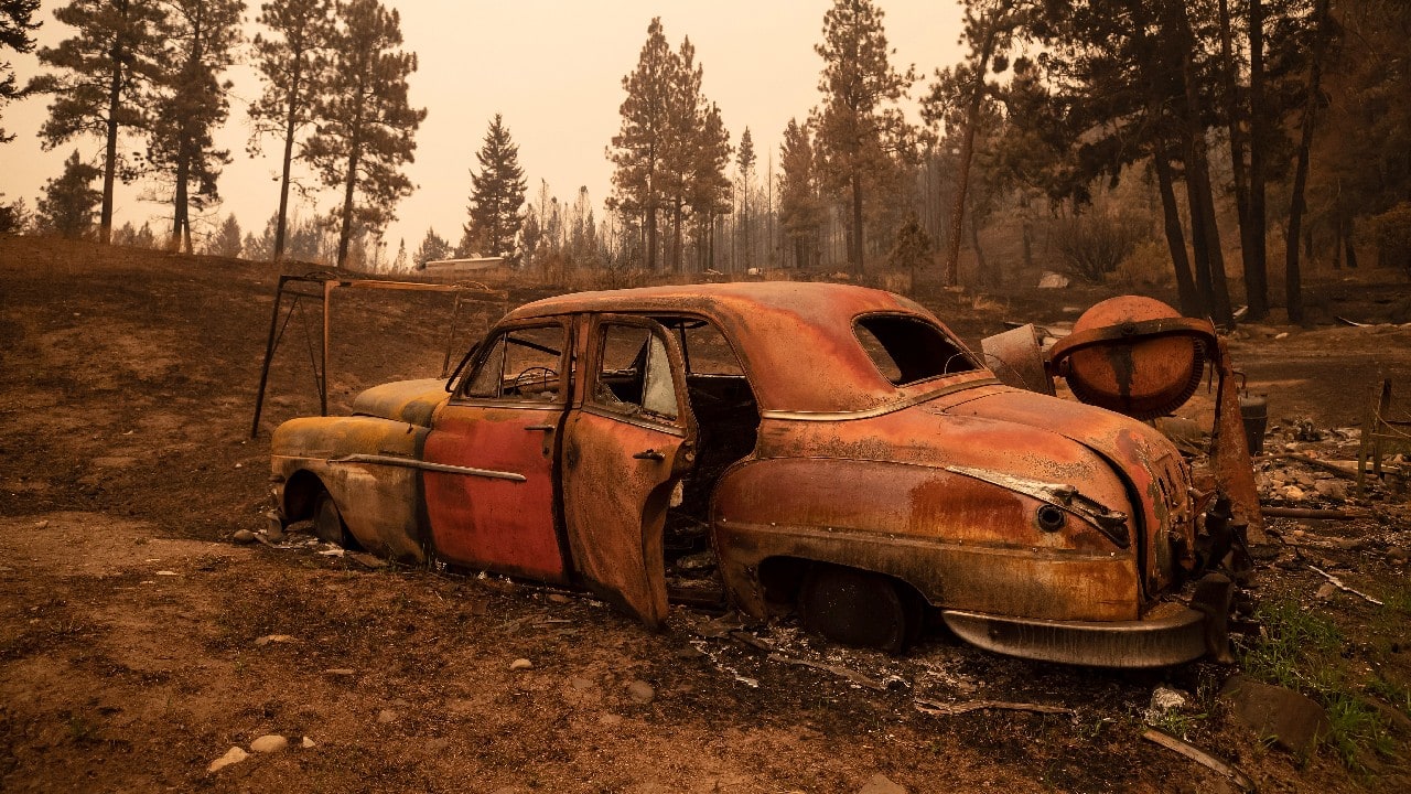 In Pics | A fiery world as climate sizzles and wildfires grow