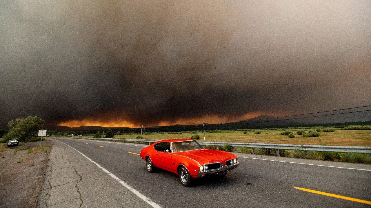 In Pics | A fiery world as climate sizzles and wildfires grow