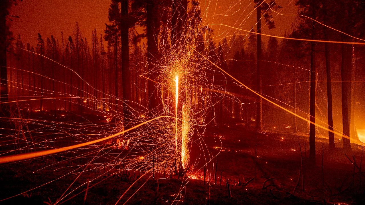 In Pics | A fiery world as climate sizzles and wildfires grow