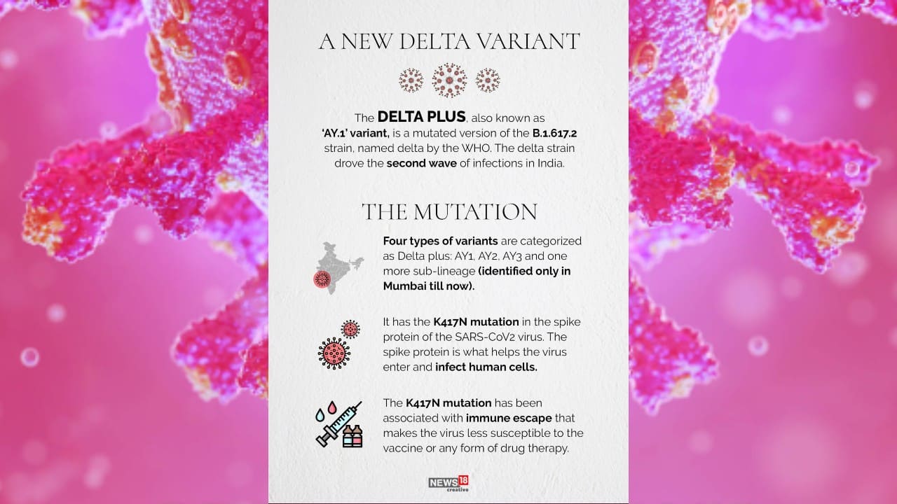 Coronavirus | A look at what we know so far about the Delta Plus variant