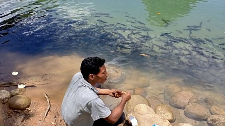Fish sanctuaries and community support for conservation of Meghalaya’s ...