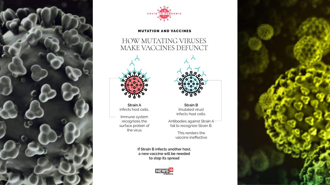 COVID-19 | Here's what we know so far about SARS COV-2 mutations and ...