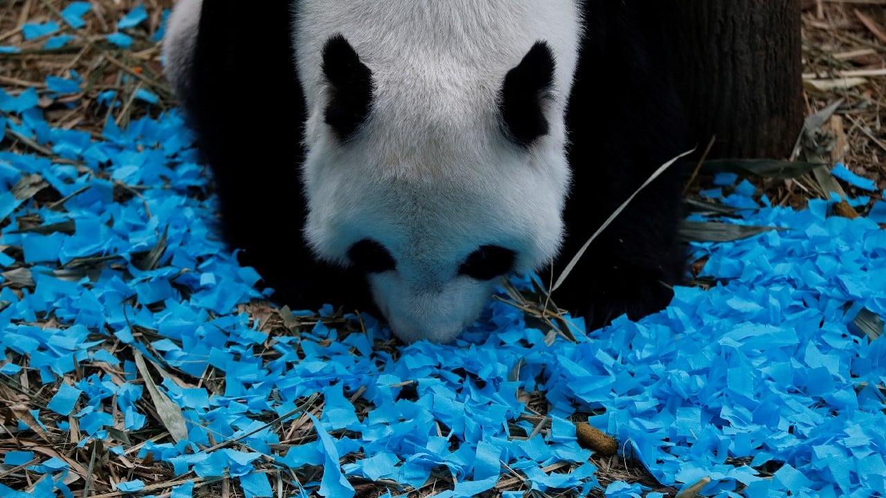 Odd and unusual images from around the world this past week