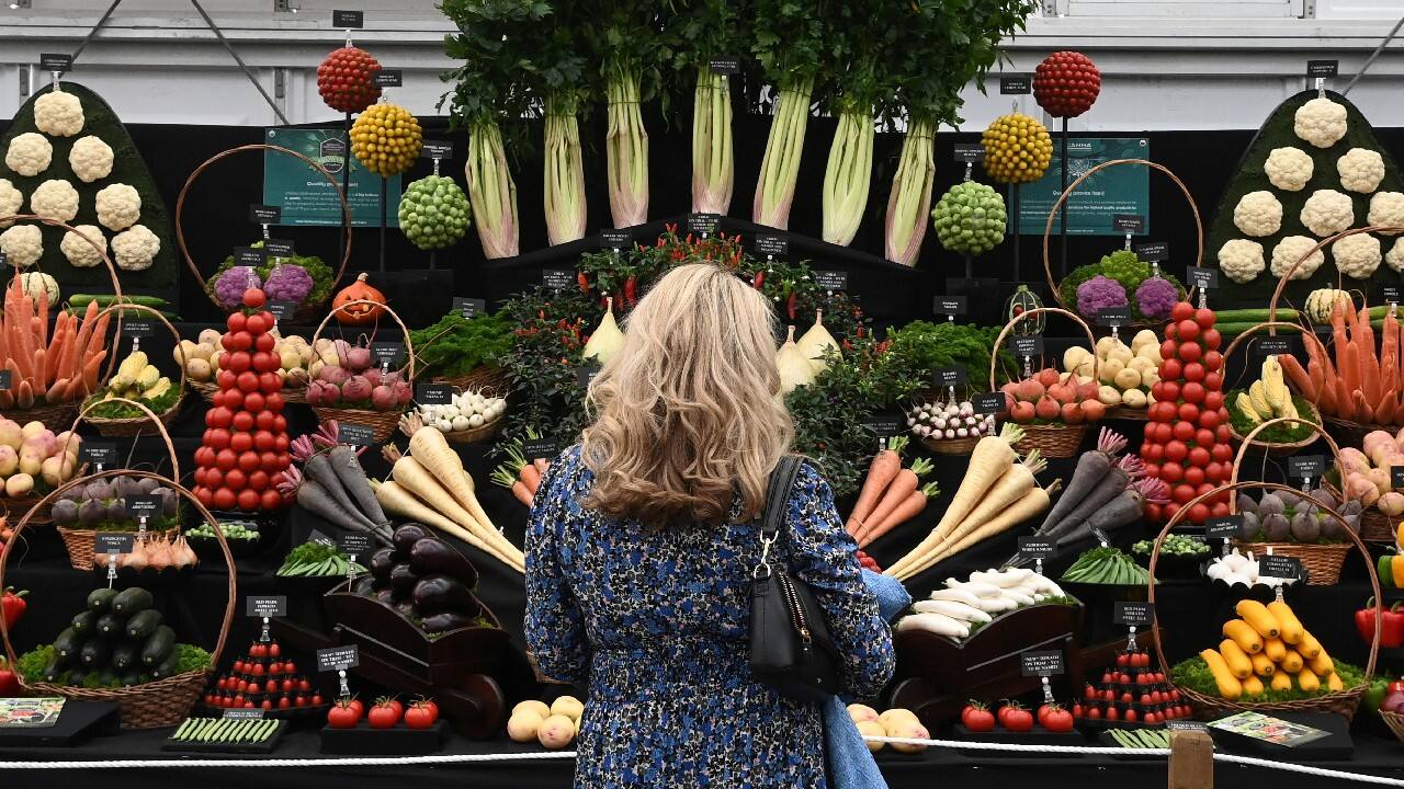 RHS Chelsea Flower Show 2021 returns with first autumn showcase