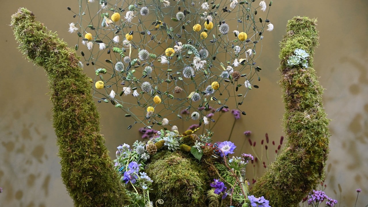 RHS Chelsea Flower Show 2021 returns with first autumn showcase