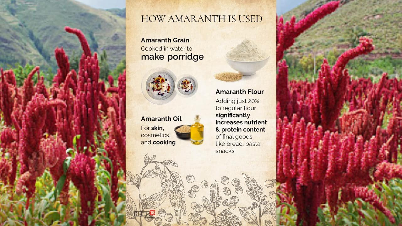 Amarnath Plant: What is it, and what's behind its rising popularity