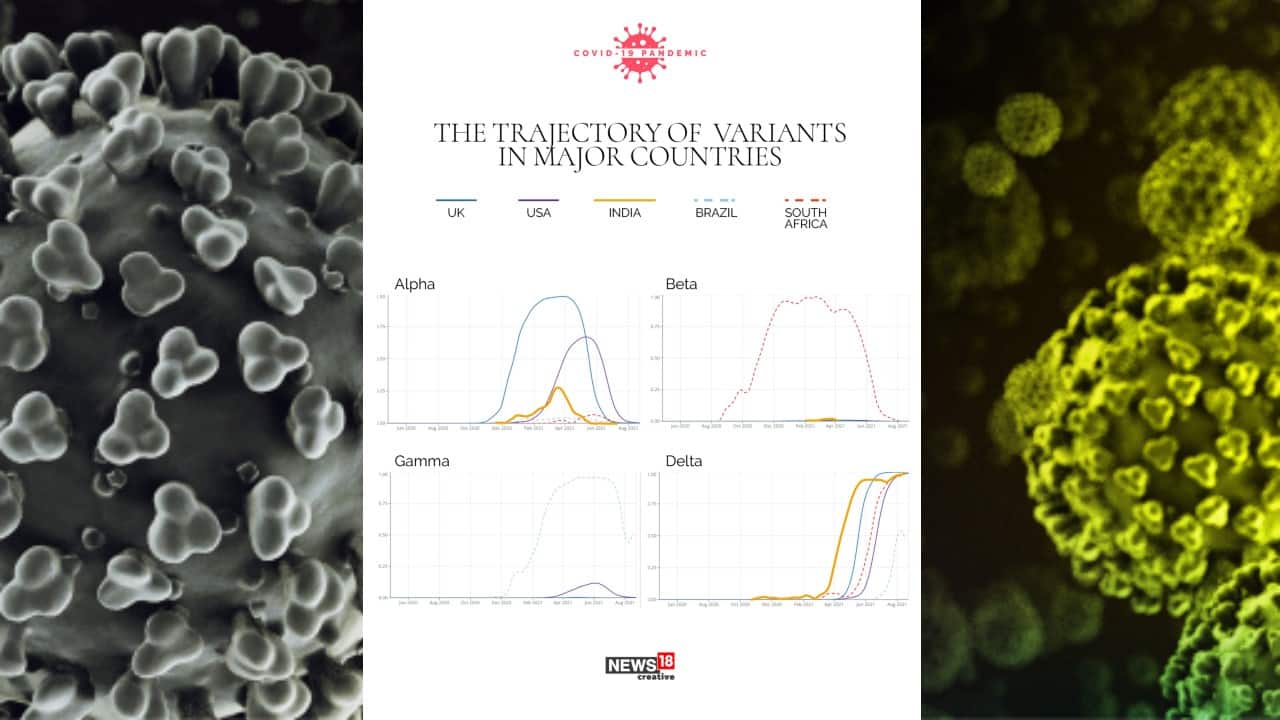 COVID-19 | Here's what we know so far about SARS COV-2 mutations and ...