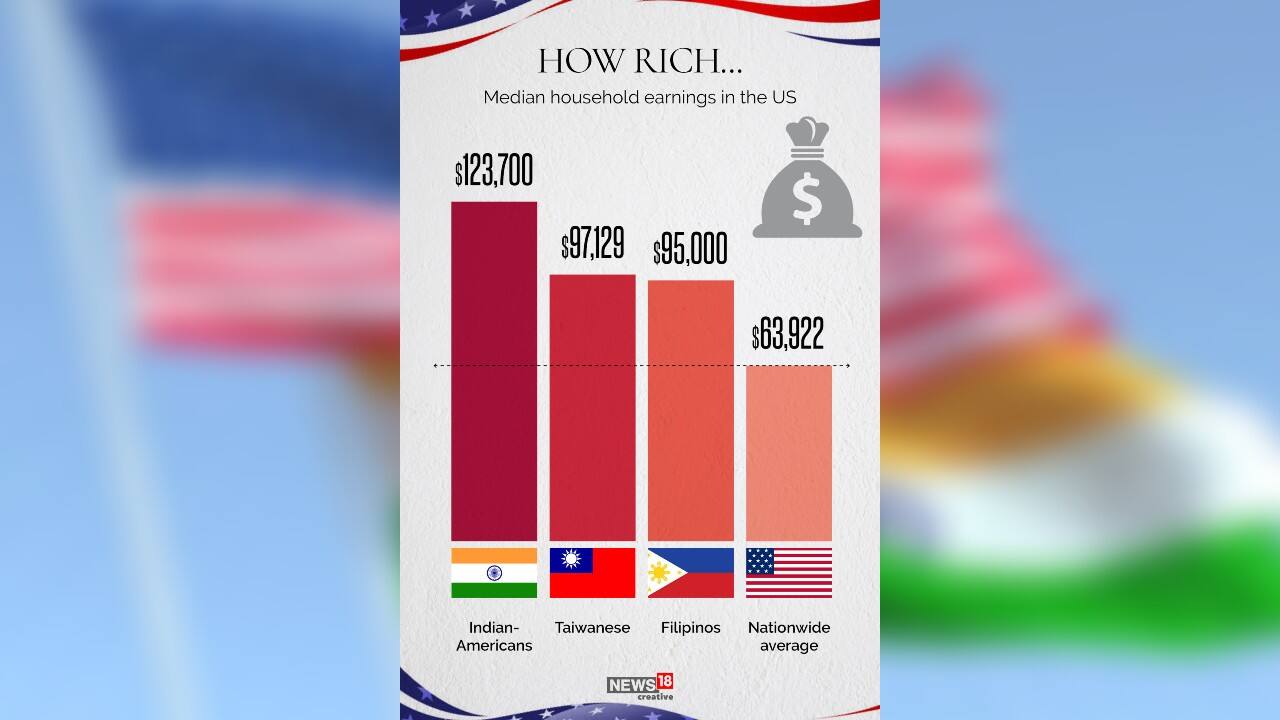A look at the demography of the Indian diaspora in the US
