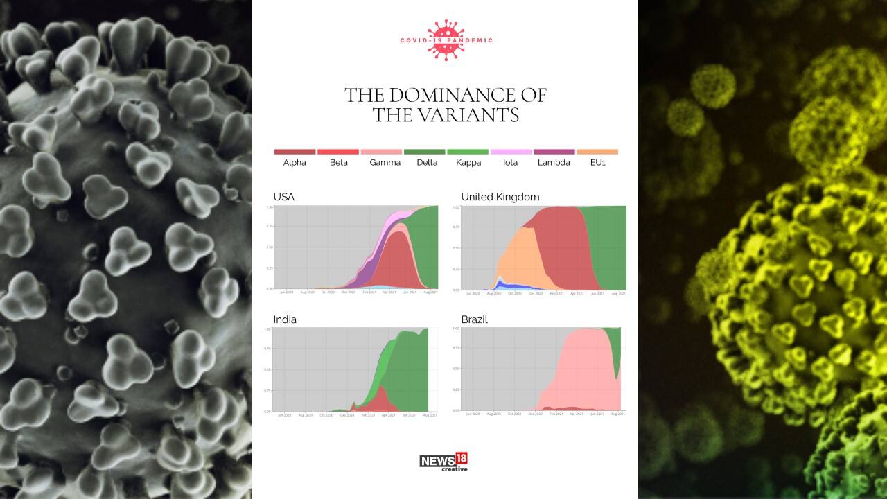 COVID-19 | Here's what we know so far about SARS COV-2 mutations and ...