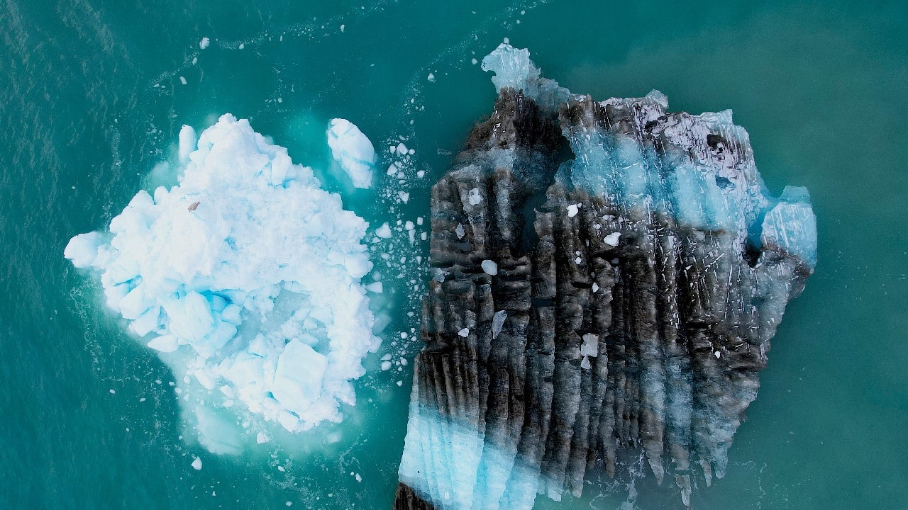 Odd and unusual images from around the world this past week