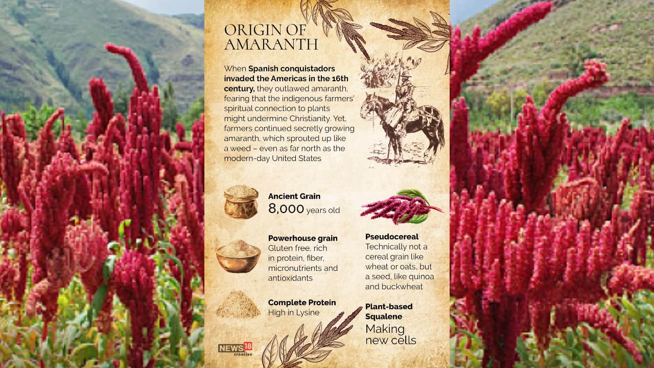 Amarnath Plant: What is it, and what's behind its rising popularity