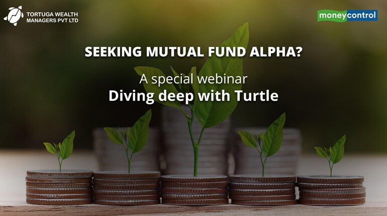 Maximize your mutual fund investments with Tortuga’s Turtle method of ...