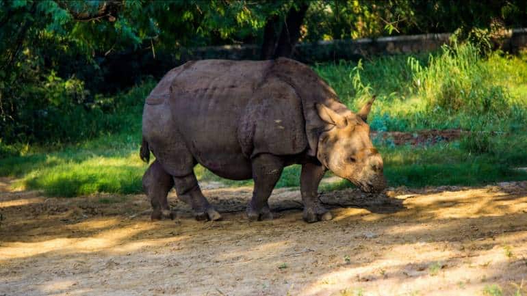Assam marks Tourism Day with focus on attracting more visitors