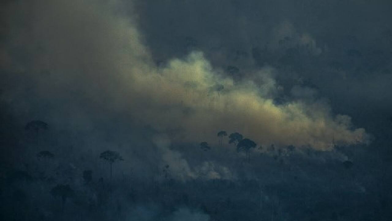 Damaged Amazon rainforest teetering on the brink