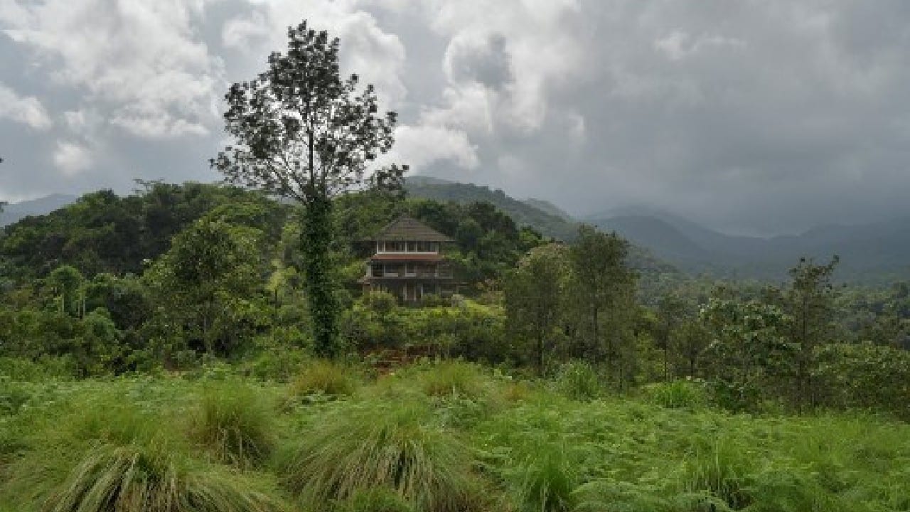 The women guarding India’s rainforest ‘refugees’ | Moneycontrol News