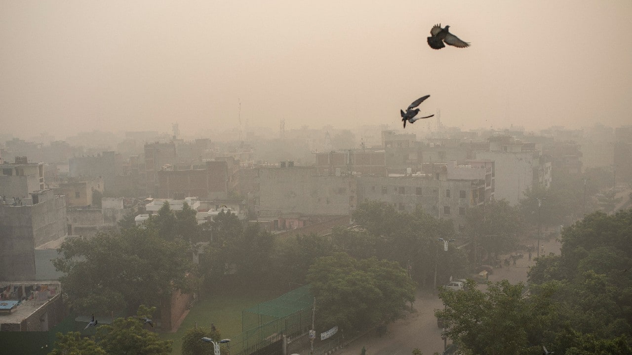 Smog chokes Delhi as air pollution levels soar | Moneycontrol News