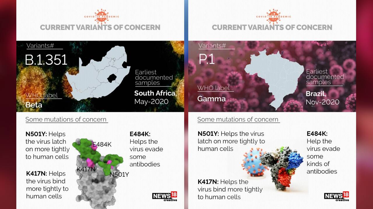 Coronavirus | All you need to know about the heavily mutated Omicron ...