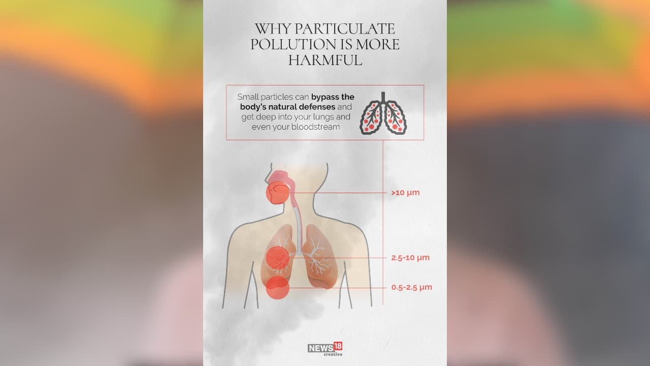 Air Pollution | A look at how polluted air affects lungs | Moneycontrol ...