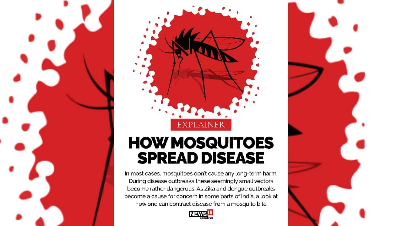 A look at how mosquitoes spread disease