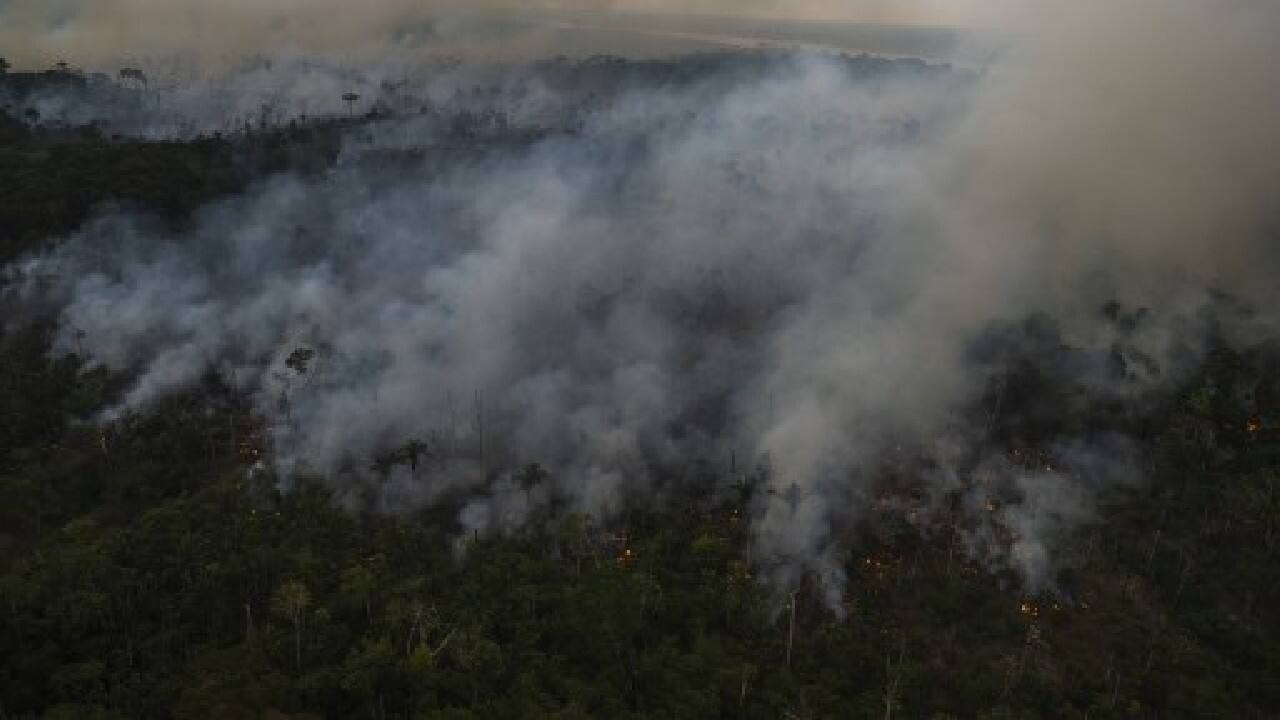 Damaged Amazon rainforest teetering on the brink