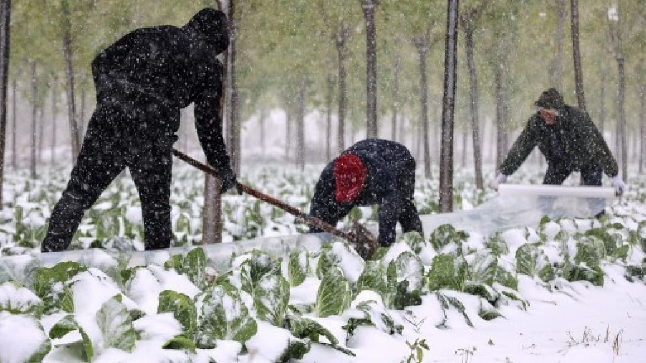 Winter is here, early snowstorm blankets China’s capital | Moneycontrol ...