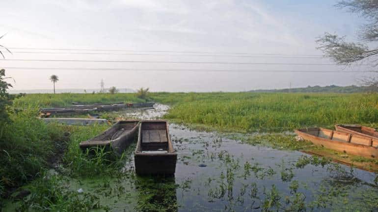 Two decades of a city lake conservation shows results but work remains ...
