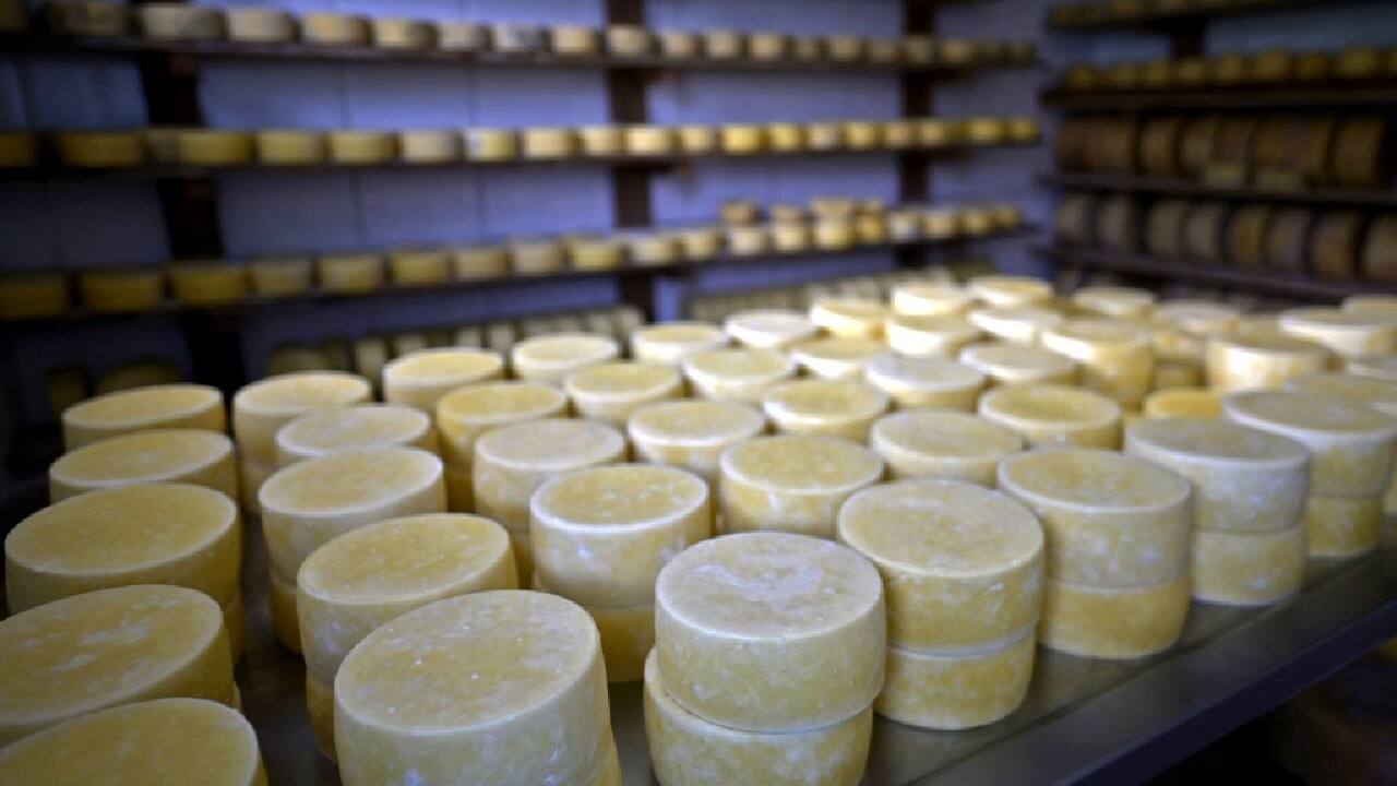 Brazil's unsung craft-cheese wins fans in high places | Moneycontrol News