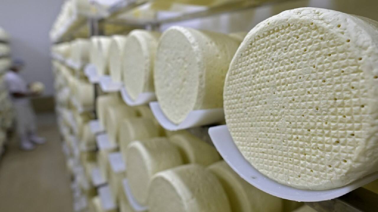 Brazil's unsung craft-cheese wins fans in high places | Moneycontrol News