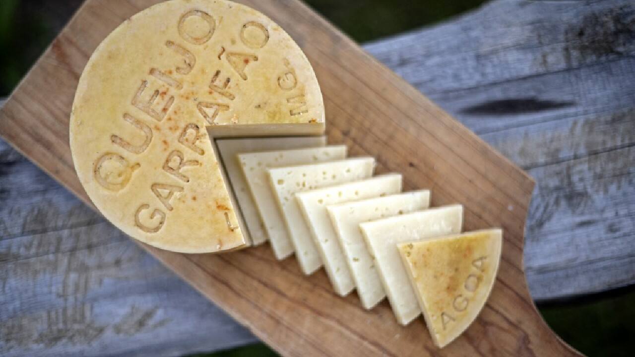 Brazil's unsung craft-cheese wins fans in high places | Moneycontrol News