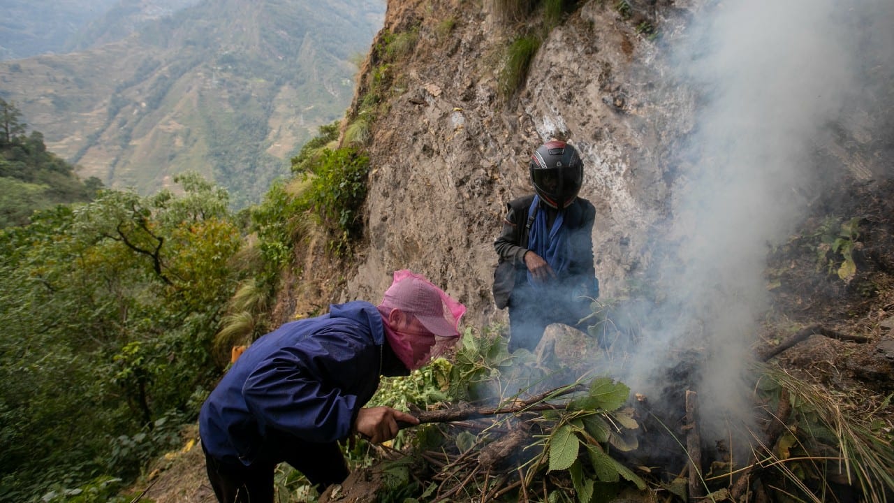 Nepal's cliff honey hunters risk their lives for much-sought after ...
