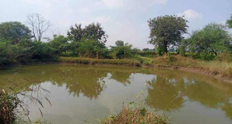 Farmers in MP village turn marshland into an irrigation pond and a ...
