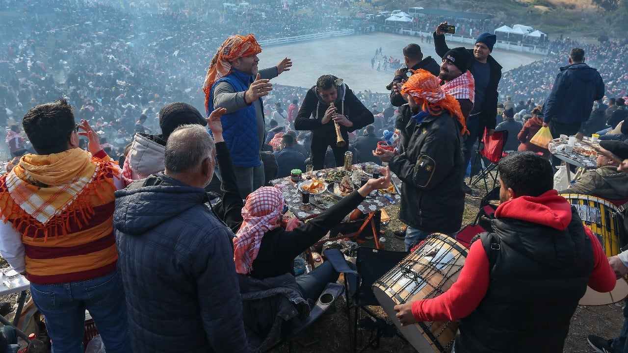 Bejewelled camels wrestle for victory in Turkey